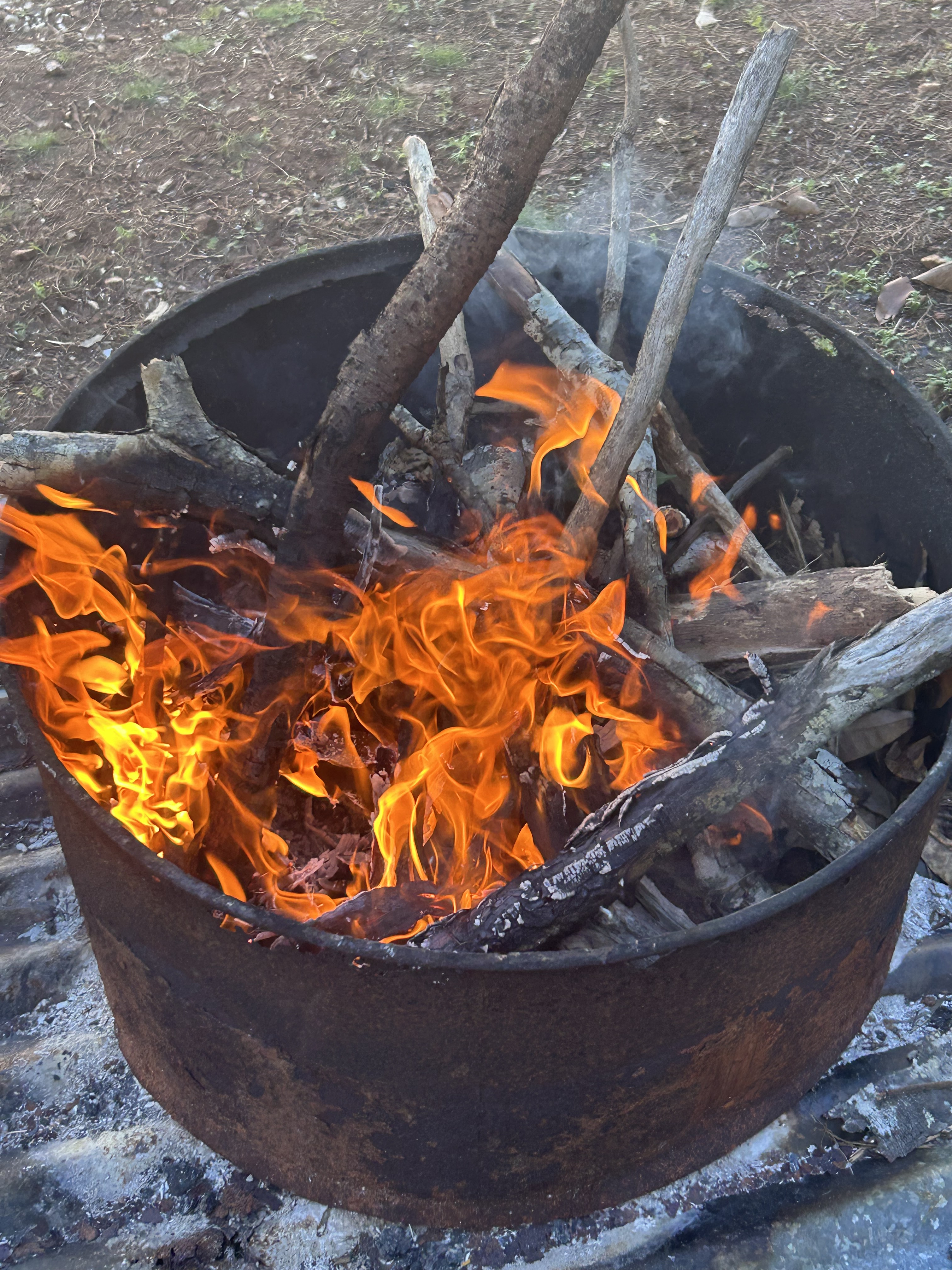 Feather & Fern – Feather & Fern Camping